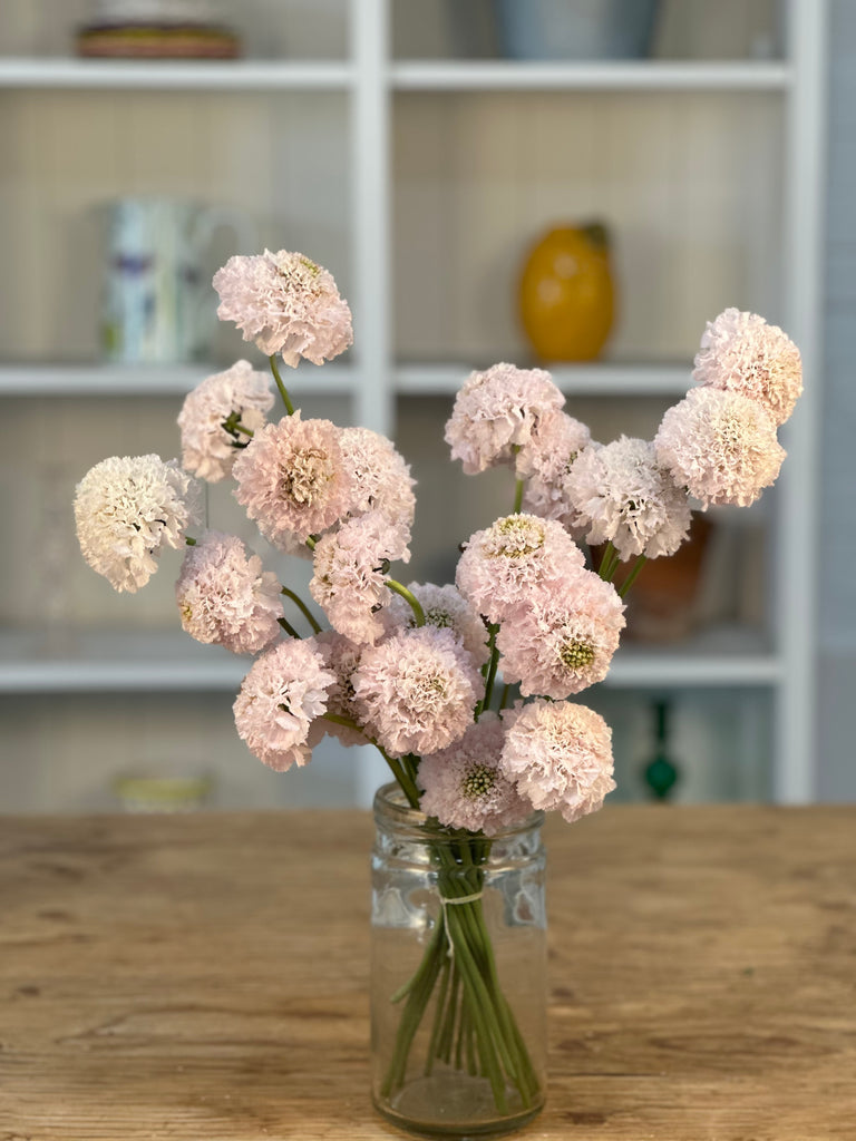 Our Flowers – Page 2 – Smith & Munson