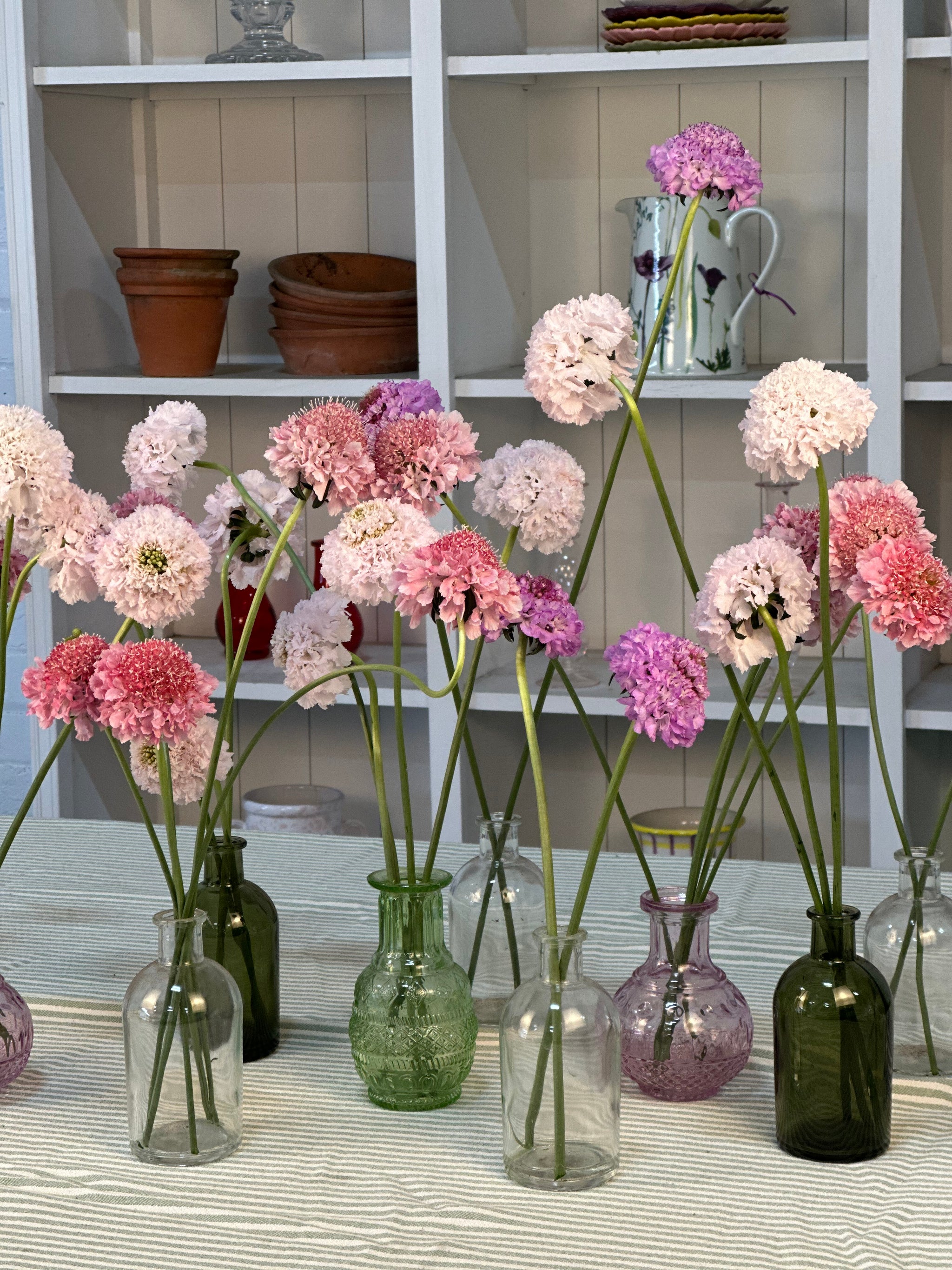 Our Flowers – Page 2 – Smith & Munson