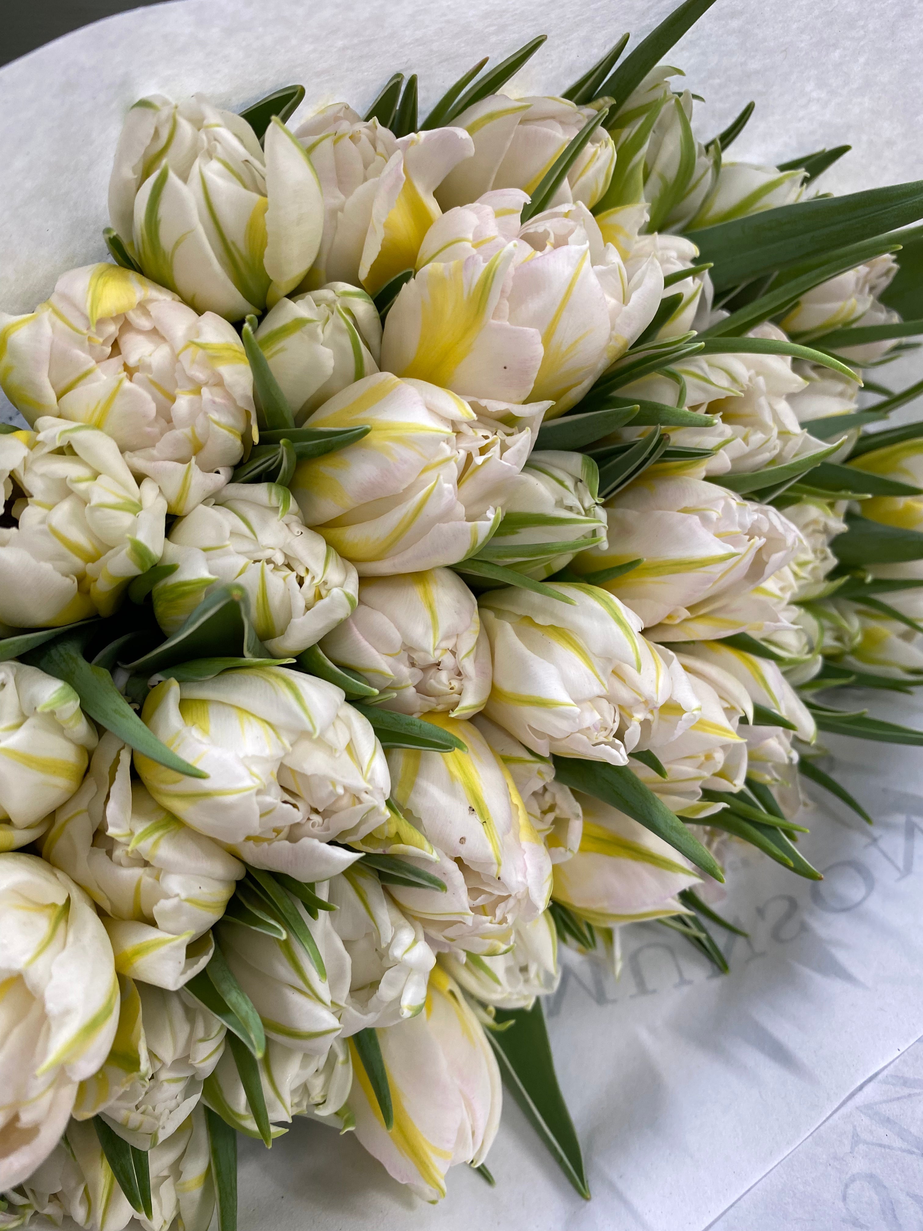 50 Password White Double British Tulips - Valentine's Preorder – Smith ...