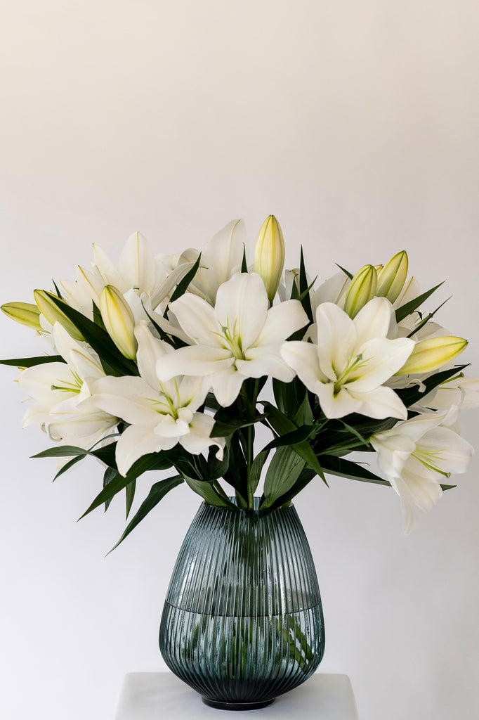 Lilies – Smith & Munson