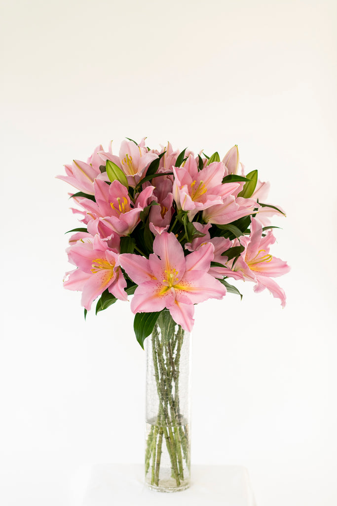 Our Flowers – Smith & Munson