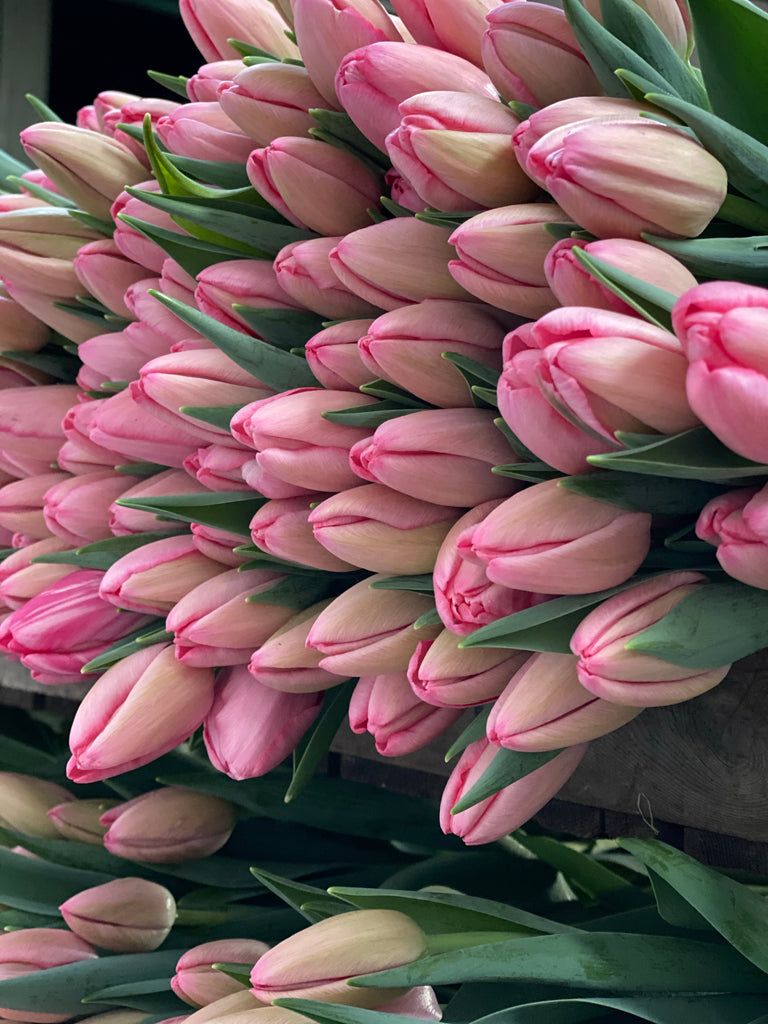 Our Flowers – Smith & Munson