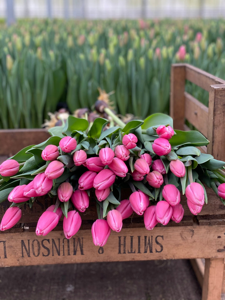 Our Flowers – Smith & Munson